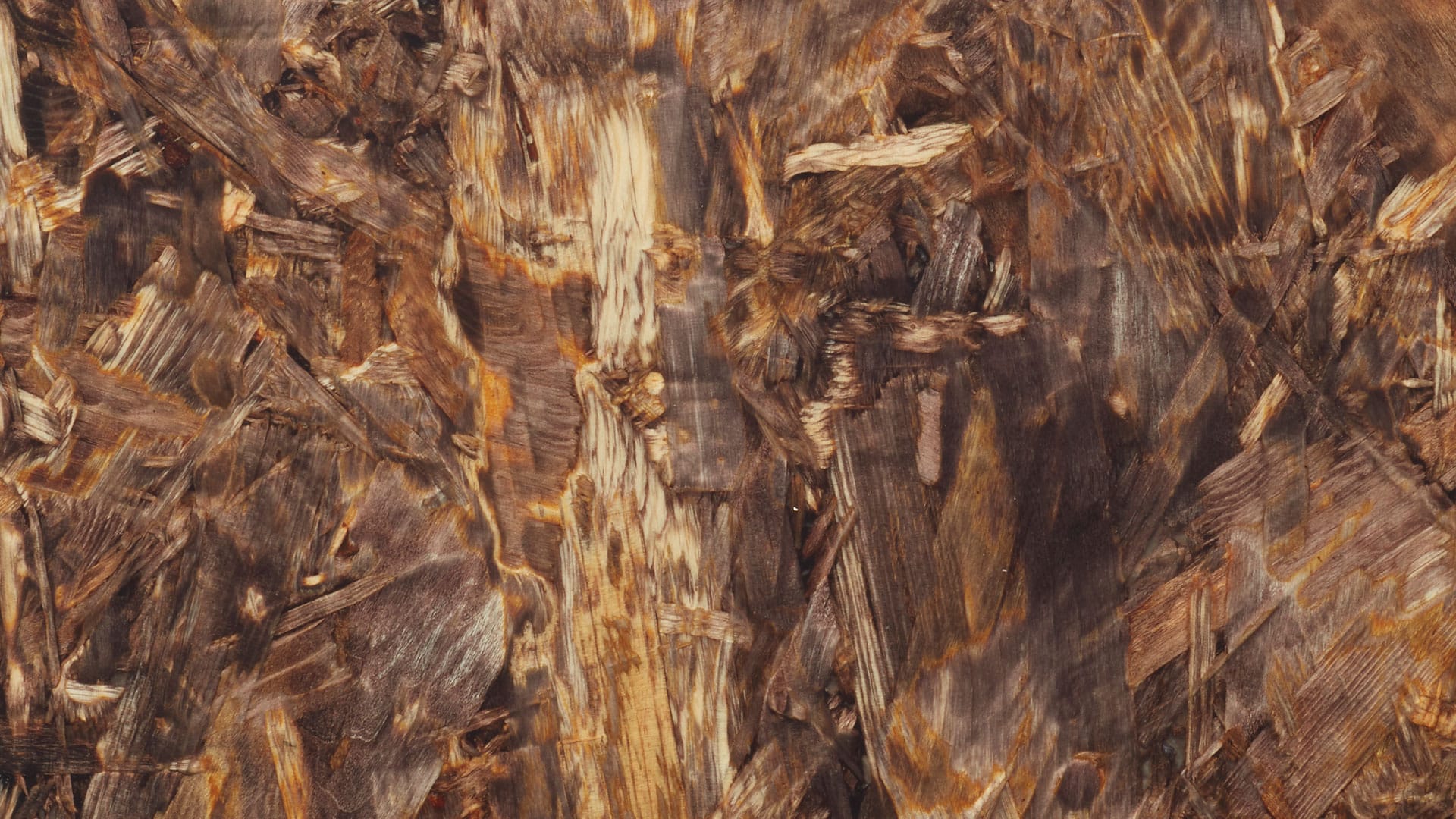 TorZo Surfaces | Sustainably-Sourced Architectural Surfaces